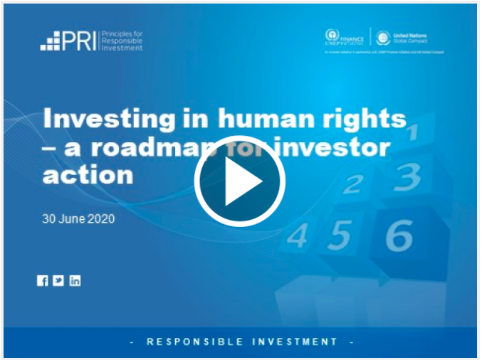 Webinar: Investing in Human Rights: A Roadmap for Investor Action ...
