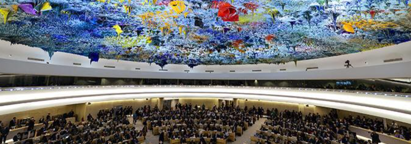 UN Forum on Business & Human Rights, Geneva | Investor Alliance for ...